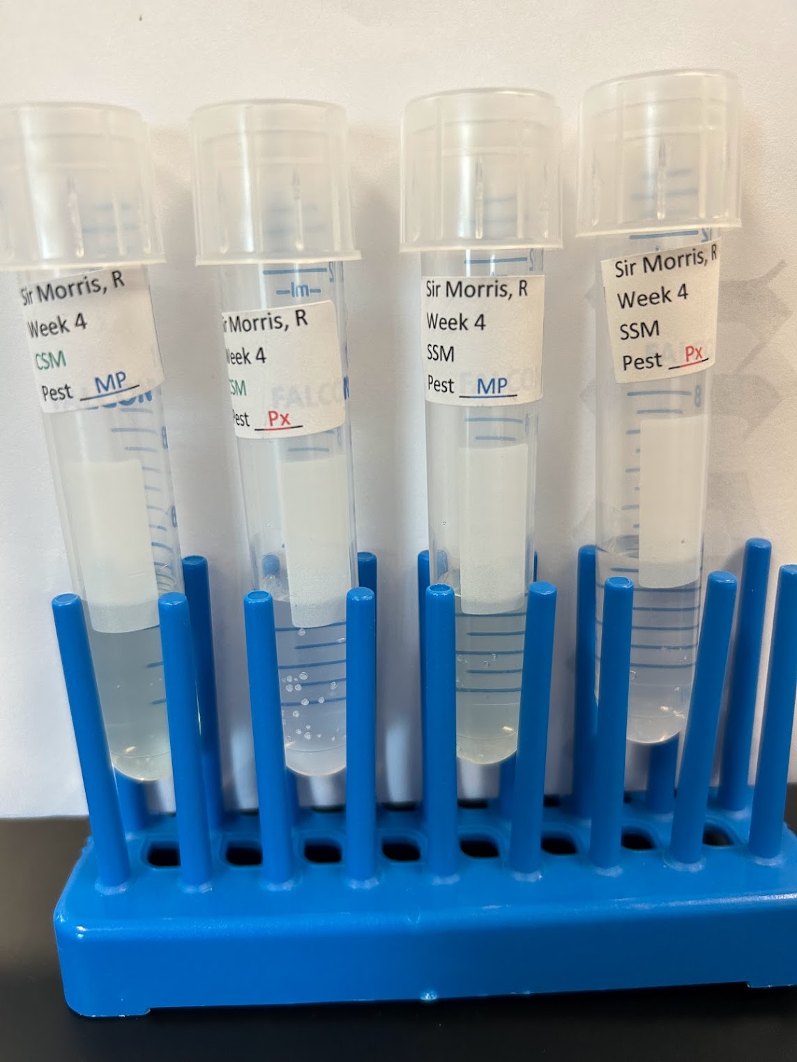 2023 Spring – UH – Mon – Sir Morris Reyes – ELN for ESRM